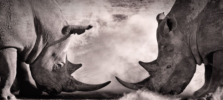 Facing Confrontation with Grace | Jim Daly