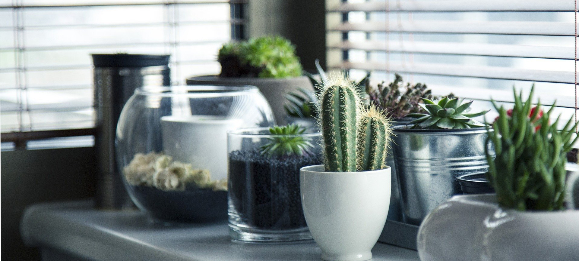 Getting Rid of the Clutter in Your Home | Jim Daly